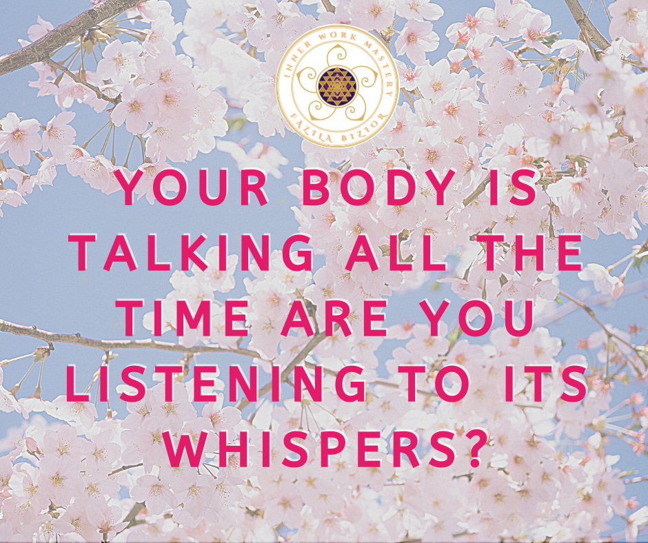 Access Body Processes – Fazila Bizior